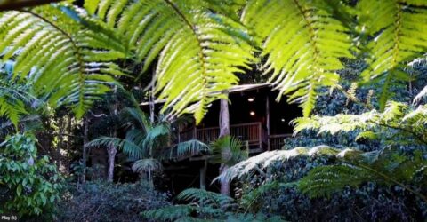 Stay | Secrets On The Lake | Sunshine Coast Wedding Accommodation